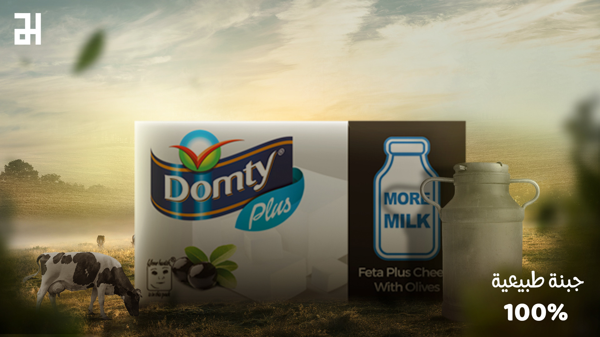 social media Design for (Domty) | نفذلي