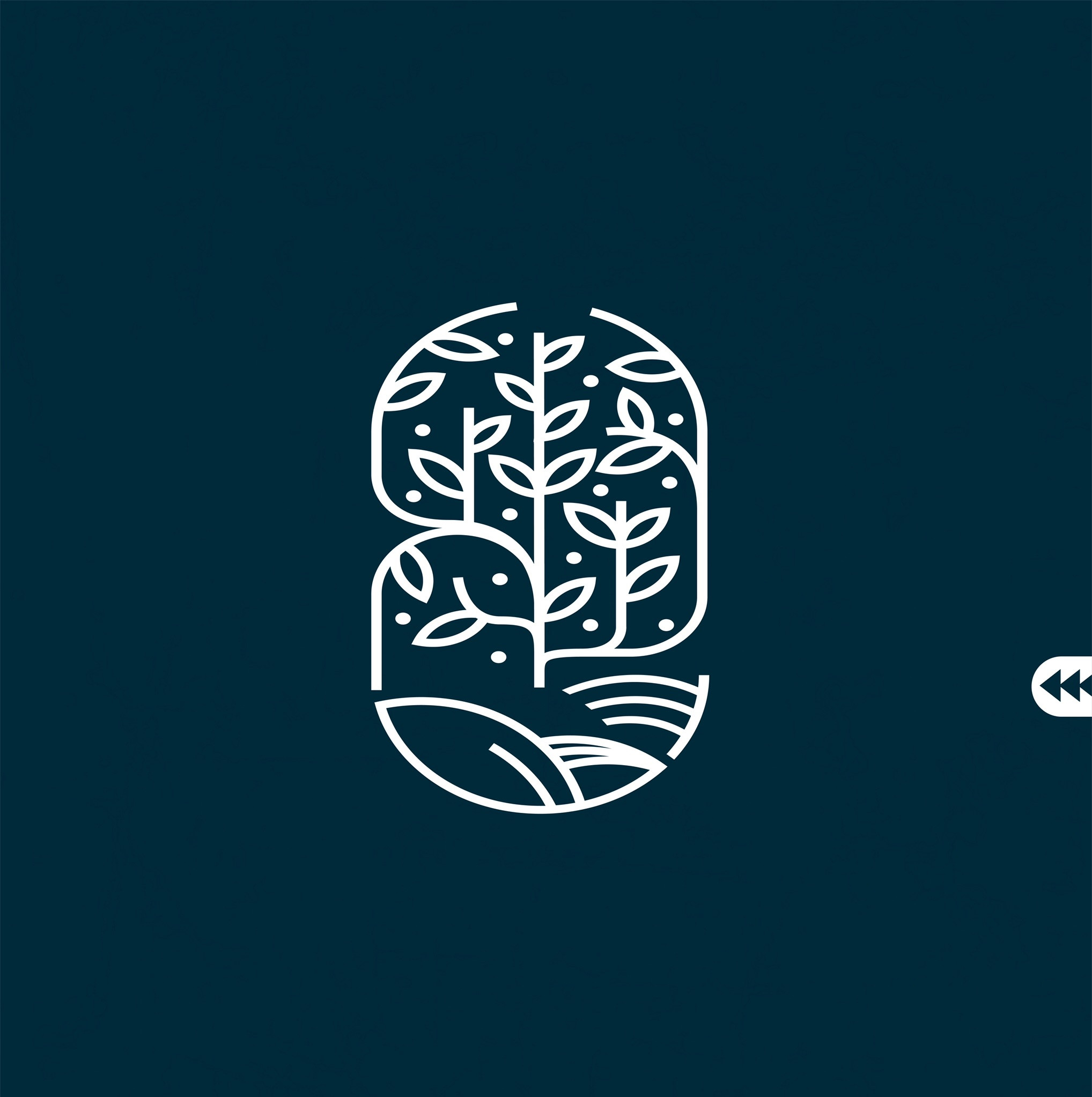 Naturella logo design | نفذلي