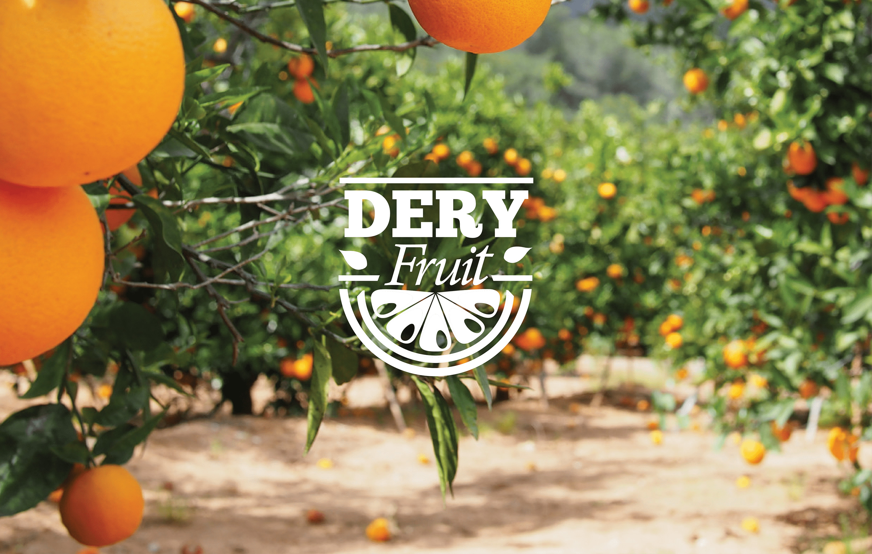 Dery Fruit | نفذلي