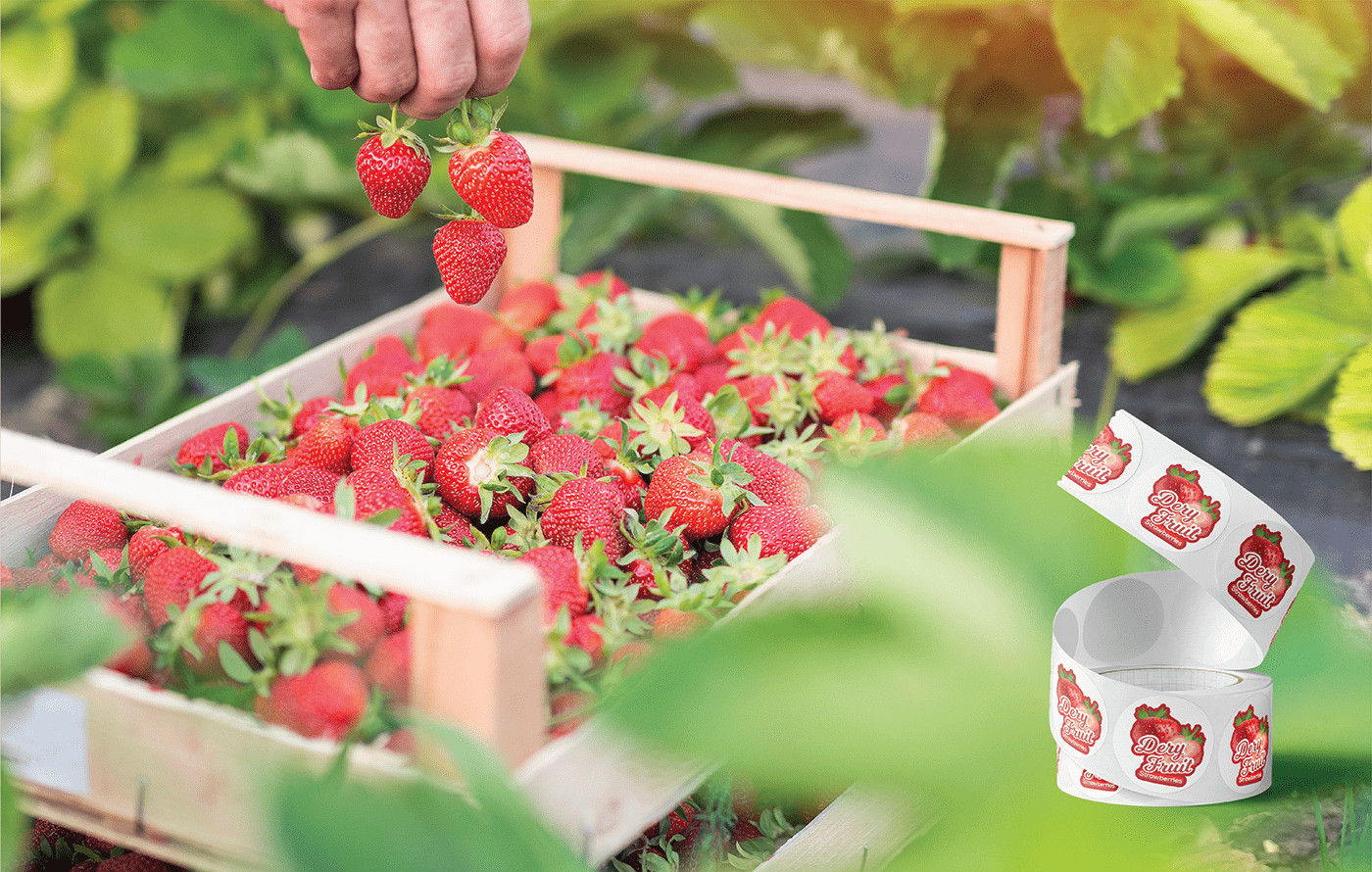 Dery Fruit | نفذلي