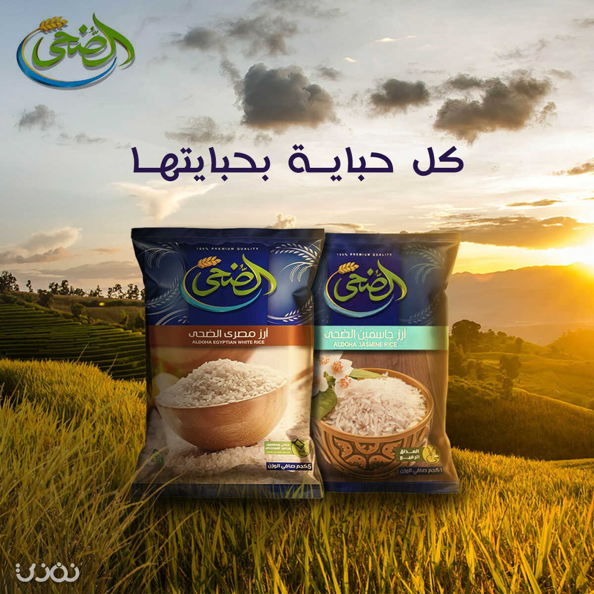 Rice social media design | نفذلي