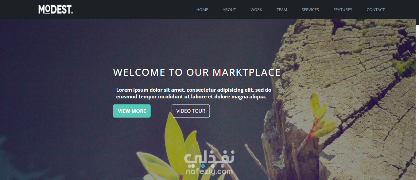 modest website company | نفذلي