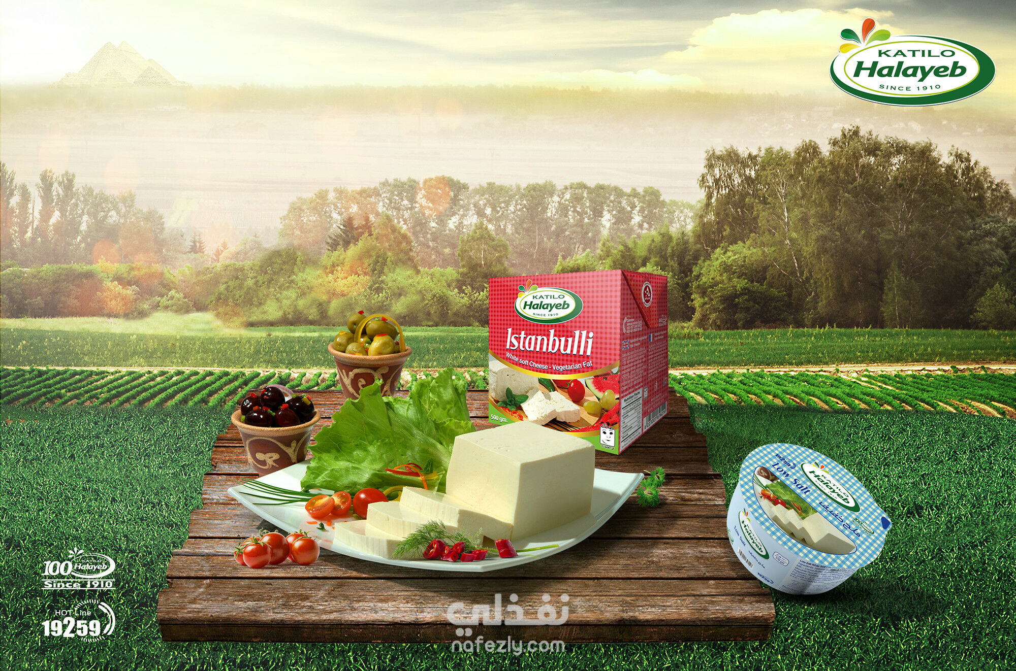 Halayeb Co. | Rebranding Showcase | نفذلي