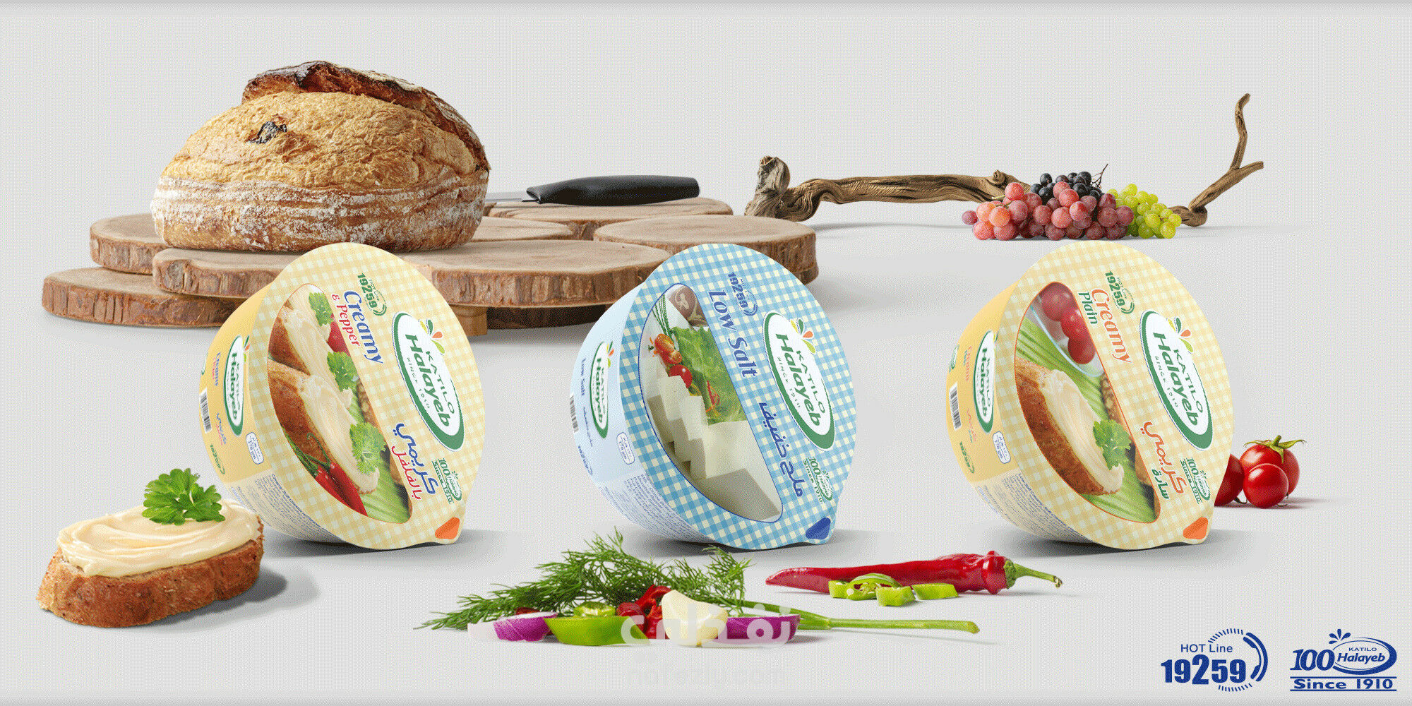 Halayeb Co. | Rebranding Showcase | نفذلي