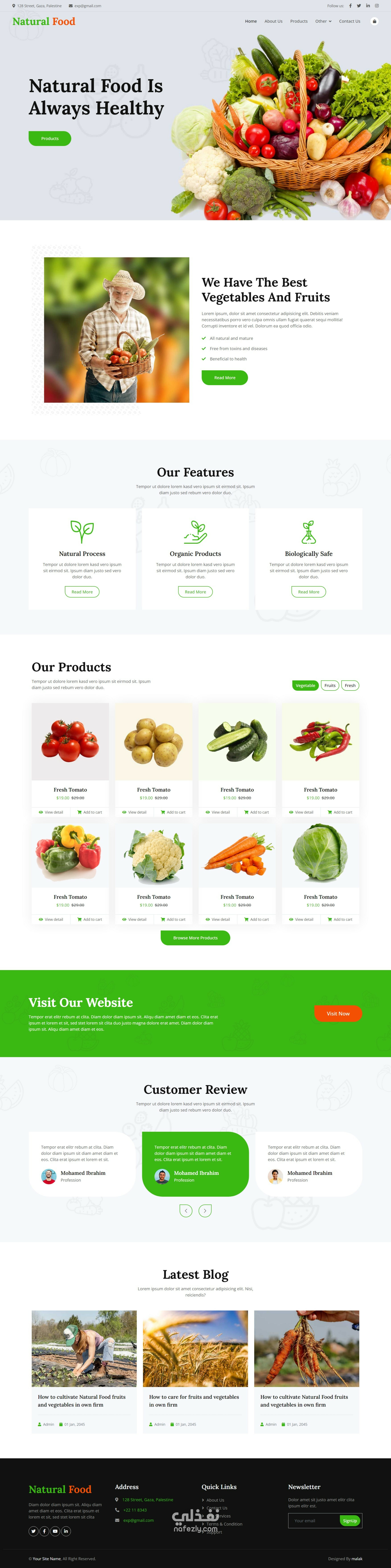Natural Food Website Template | نفذلي