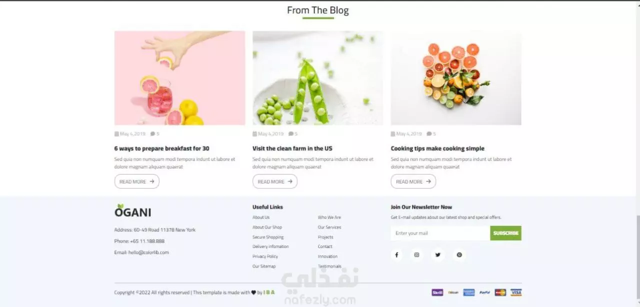 Ogani Website | نفذلي